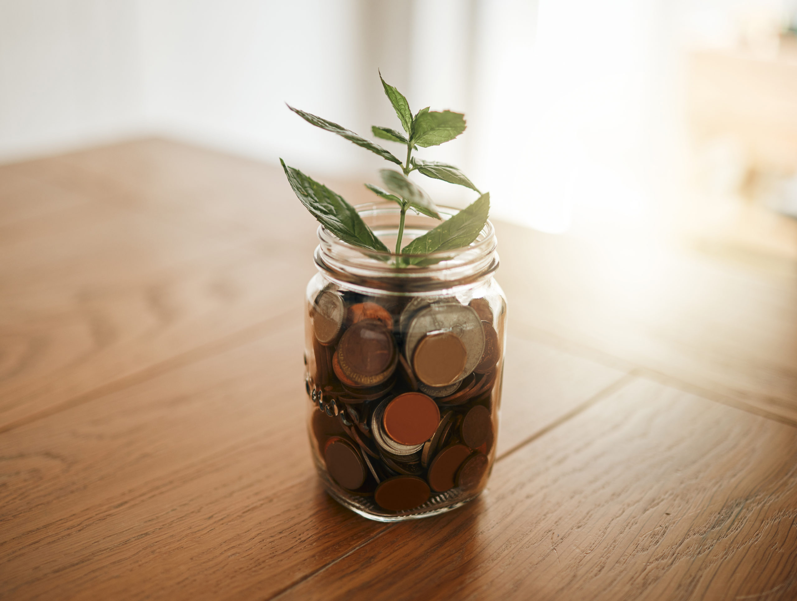 Sustainability in Banking: Start Smart with Coin - Coinstar for Financial